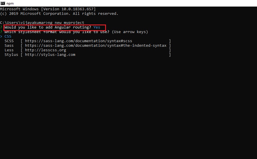 Introduction to Angular & How to Set Up an Angular Development Environment